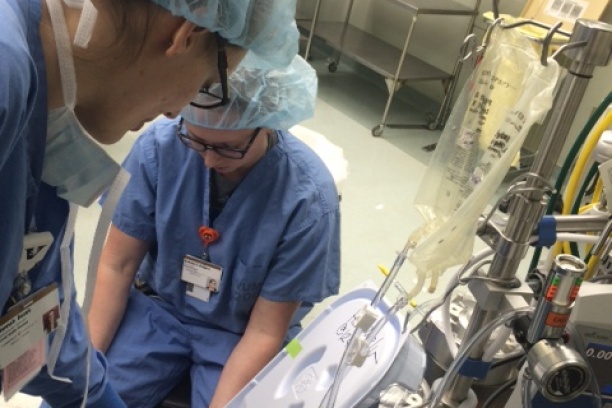 Welcome | Perfusion Program