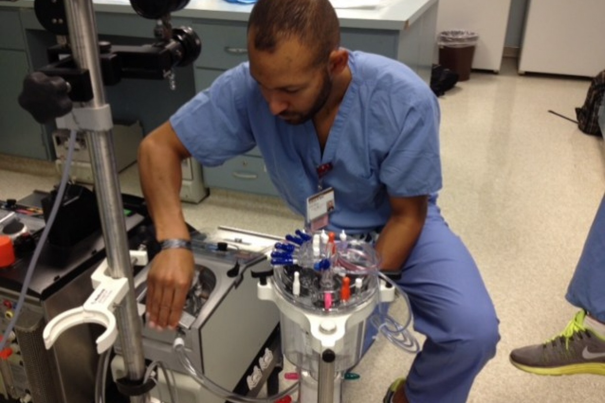 Welcome | Perfusion Program